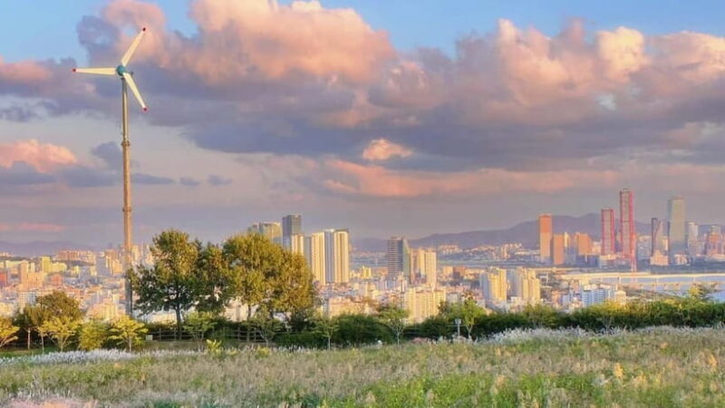 Seoul Full-Day City Tour: Hanok Village, Scenic Routes - A Complete Look at the Seoul Full-Day Tour