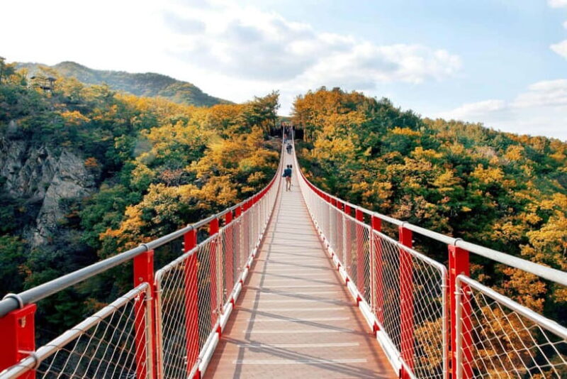 Seoul Full-Day City Tour: Hanok Village, Scenic Routes - The Experience on the Ground