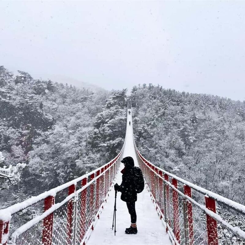 Seoul: Gamaksan, IceWall Cafe, Hanok +Herb Museum/Strawberry - Seasonal Choices: Strawberries or Herbal Museum