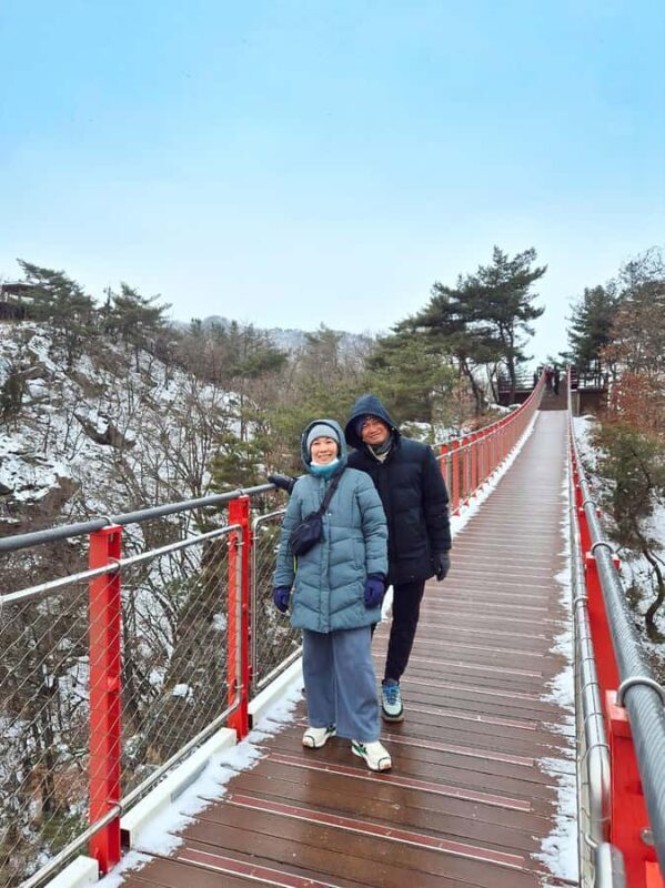 Seoul: Gamaksan, IceWall Cafe, Hanok +Herb Museum/Strawberry - FAQ