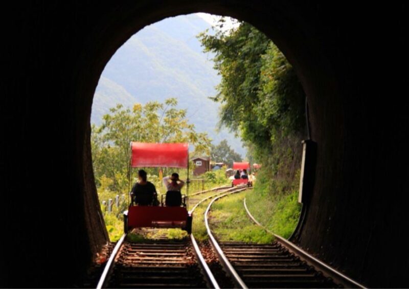 Seoul: Gangwon-do Day Trip with Alpaca World & Nami Island - Transport, Duration, and Price