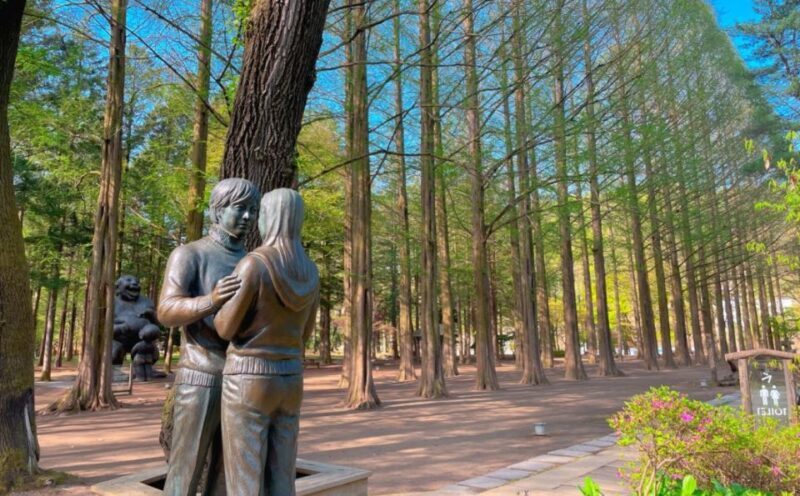 Seoul: Gangwon-do Day Trip with Alpaca World & Nami Island - The Sum Up