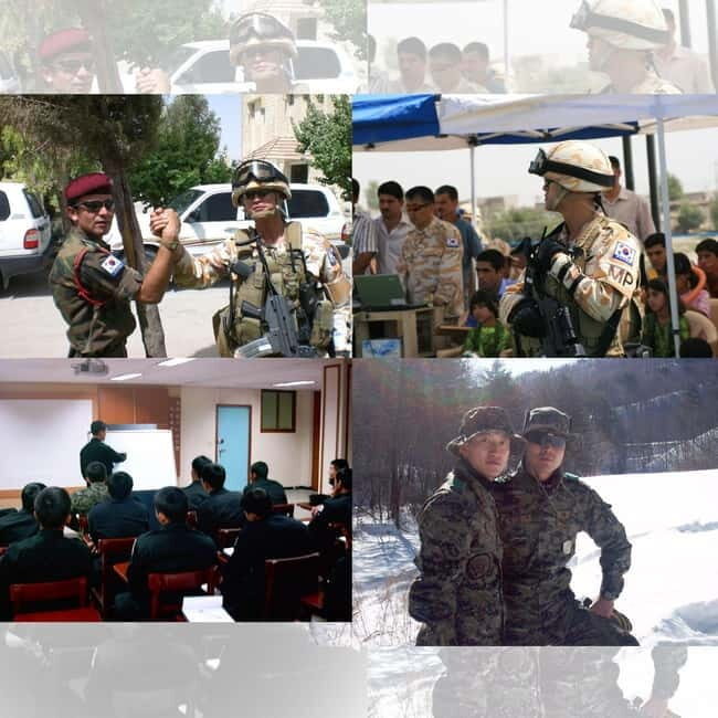 Seoul: Half-Day DMZ Tour Led by a Retired Military Officer - Key Points