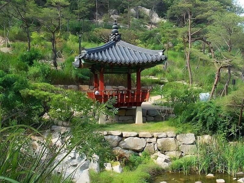 Seoul : Hidden Fortress Trek: Secret Trail to Seochon Flavor - Authentic Reviews and What Travelers Say