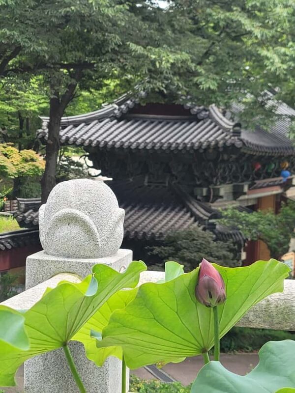 Seoul Hidden Gem Walk: Private, Local & Relaxed - Authentic Moments and Practical Details