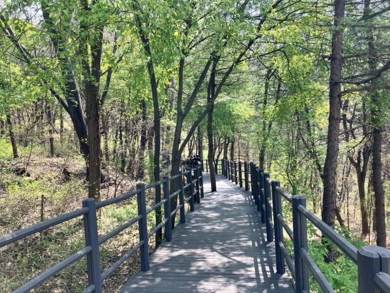 Seoul: Hiking Ansan Jarak-gil Trail & Makgeolli Experience - An Introduction to the Experience