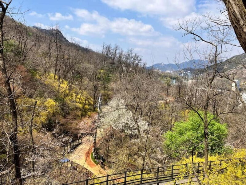 Seoul: Hiking Ansan Jarak-gil Trail & Makgeolli Experience - What Travelers Say