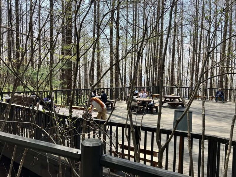 Seoul: Hiking Ansan Jarak-gil Trail & Makgeolli Experience - Practical Details