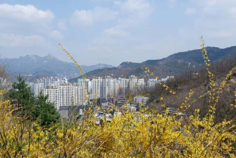 Seoul: Hiking Ansan Jarak-gil Trail & Makgeolli Experience - Final Thoughts — Who Will Love This?