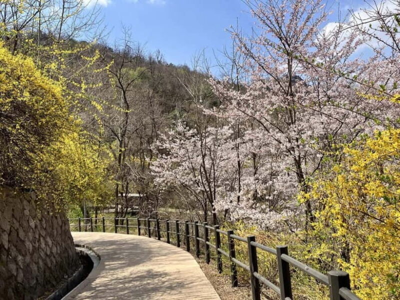 Seoul: Hiking Ansan Jarak-gil Trail & Makgeolli Experience - FAQ