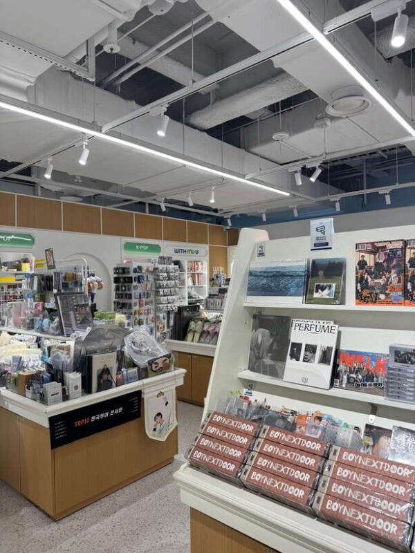 Seoul: Hongdae, Animation&Game, Theme Cafe Walking Tour - Practical Details and Value