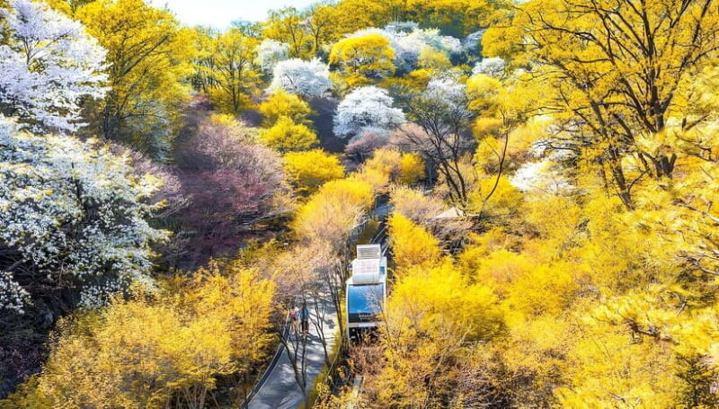 Seoul: Hwadam Forest & Namhansanseong & Korean Folk Village - Key Points