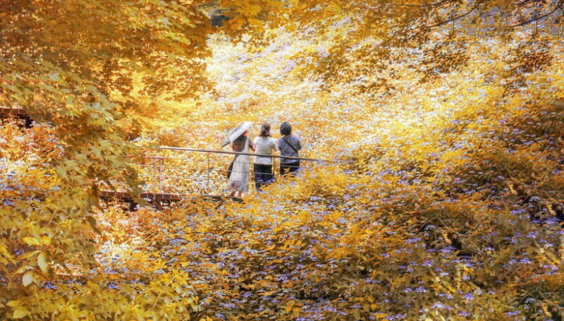 Seoul: Hwadam Forest & Namhansanseong & Korean Folk Village - A Closer Look at the Tour Itinerary