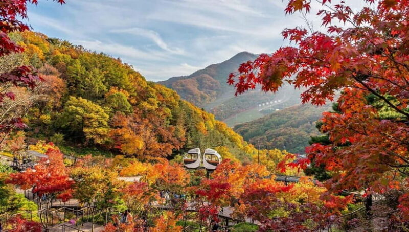 Seoul: Hwadam Forest & Namhansanseong & Korean Folk Village - Authentic Experiences and Hidden Gems