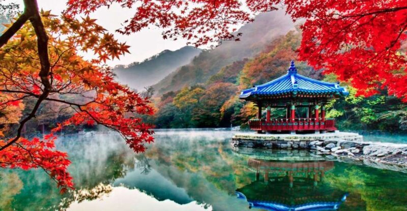 Seoul: Hwadamsup & Luge & Korea Folk Village One Day Tour - Seoul: Hwadamsup & Luge & Korea Folk Village One Day Tour - A Detailed Review