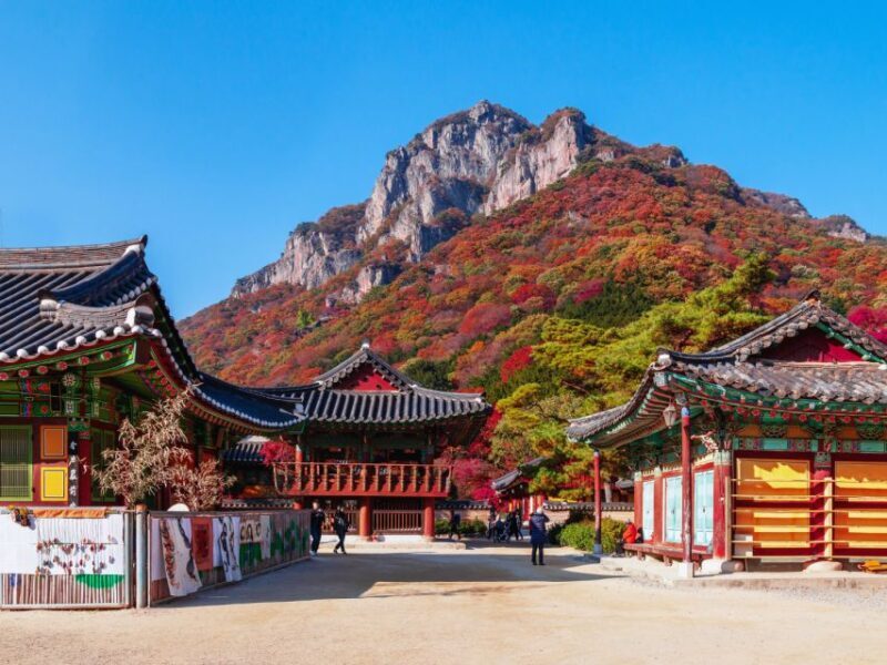 Seoul: Hwadamsup & Luge & Korea Folk Village One Day Tour - Key Points