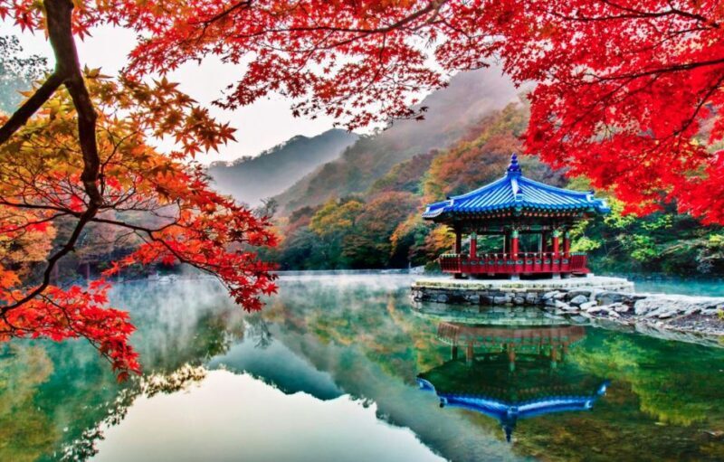 Seoul: Hwadamsup & Luge & Korea Folk Village One Day Tour - Authenticity and Value