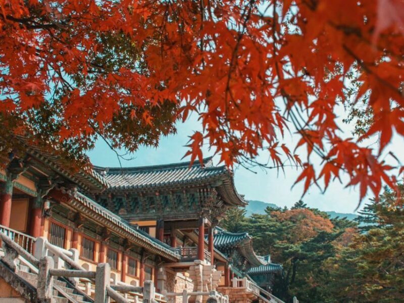 Seoul: Hwadamsup & Luge & Korea Folk Village One Day Tour - FAQ