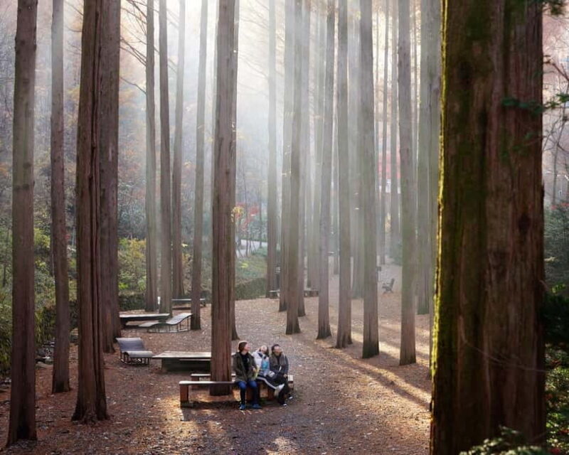 Seoul: Jangtaesan Recreational Forest Autumn Foliage Tour - FAQ: Your Practical Questions Answered