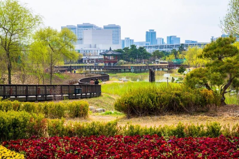 Seoul: Jangtaesan Recreational Forest Autumn Foliage Tour - Final Thoughts