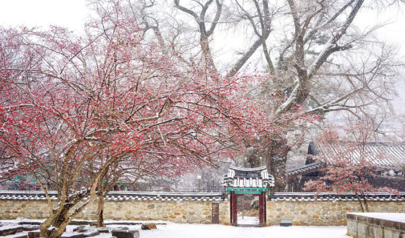 Seoul: Jeonju Hanok Village & Daedunsan Snowy Nature Tour - A Practical Guide to Your Day of Korean Scenic and Cultural Splendor