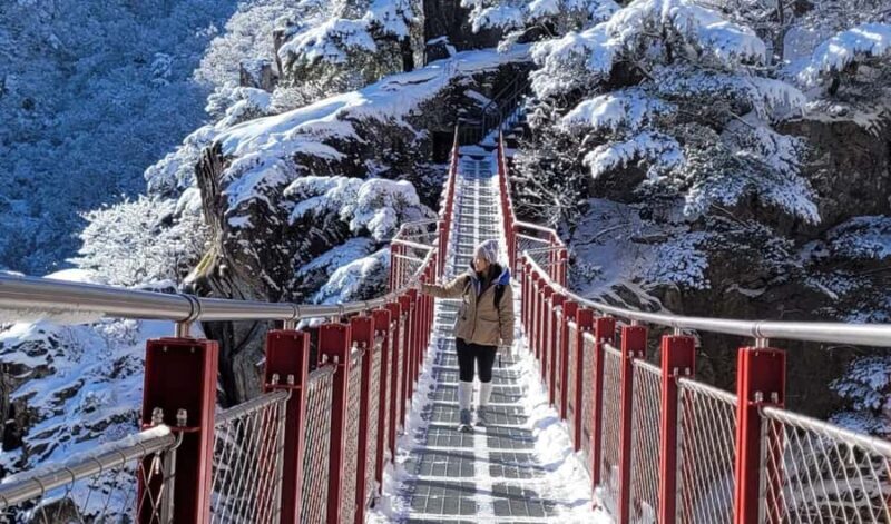 Seoul: Jeonju Hanok Village & Daedunsan Snowy Nature Tour - The Sum Up