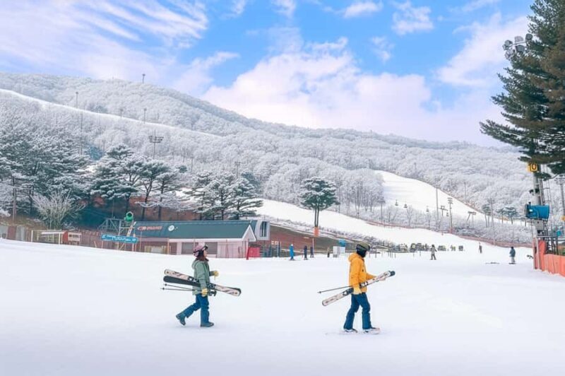 Seoul: Jisan Forest Ski Resort and Everland 1 Day Tour - Key Points