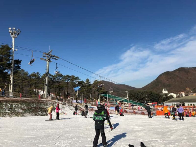 Seoul: Jisan Forest Ski Resort and Everland 1 Day Tour - The value of this experience