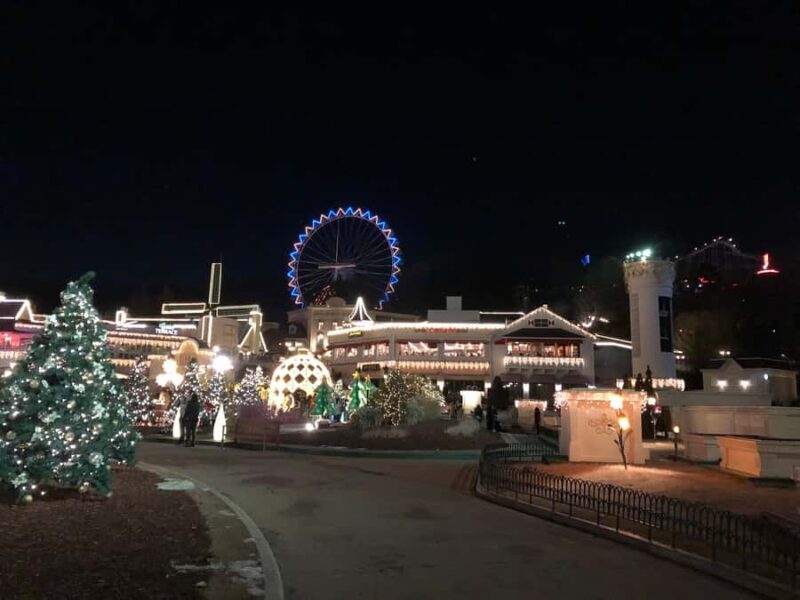 Seoul: Jisan Forest Ski Resort and Everland 1 Day Tour - Who this tour is best for