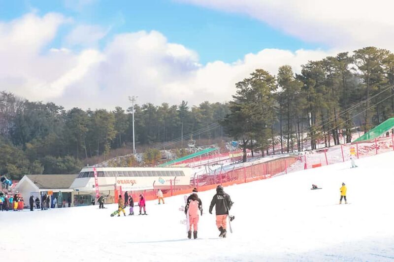 Seoul: Jisan Forest Ski Resort and Everland 1 Day Tour - FAQ