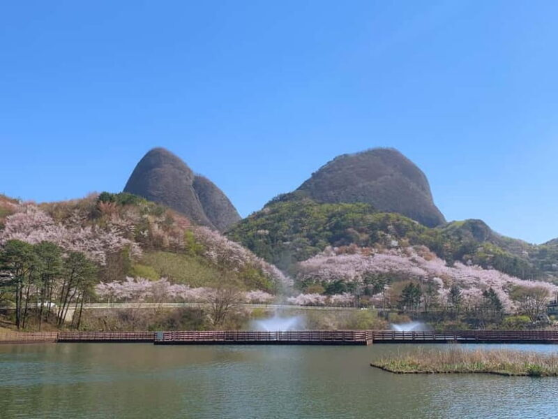 Seoul: Maisan Cherry Blossom and Jeonju Hanok Day Tour - Exploring Maisan: The Twin Peaks and Cherry Blossoms