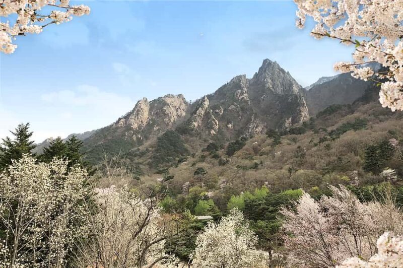 Seoul: Mt.Seorak and Cherry Blossom Lake 1 day trip - Key Points