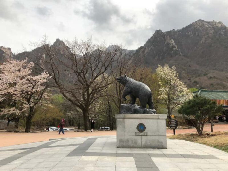Seoul: Mt.Seorak and Cherry Blossom Lake 1 day trip - Final Thoughts