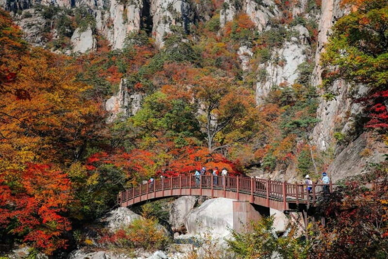 Seoul: Mt. Seorak & Autumn Flower Festival - Starting with Convenient Transportation and Group Dynamics