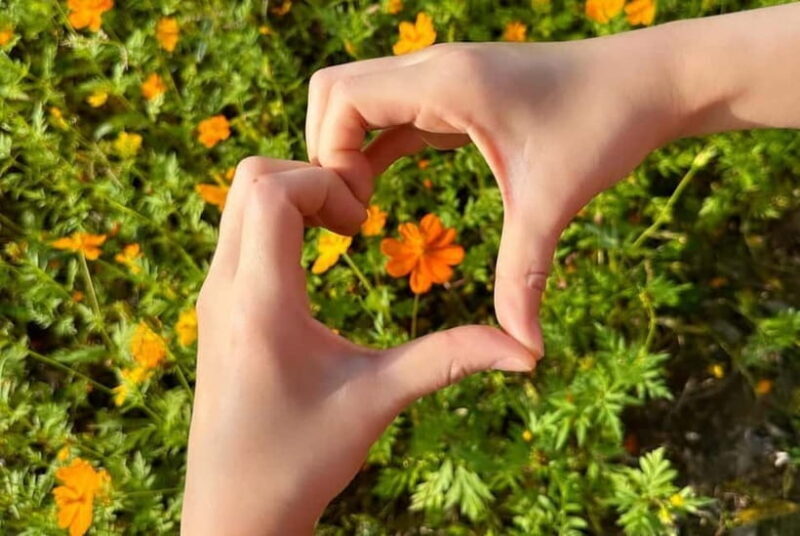 Seoul: Mt. Seorak & Autumn Flower Festival - Reaching Mt. Seorak – A Feast for the Senses