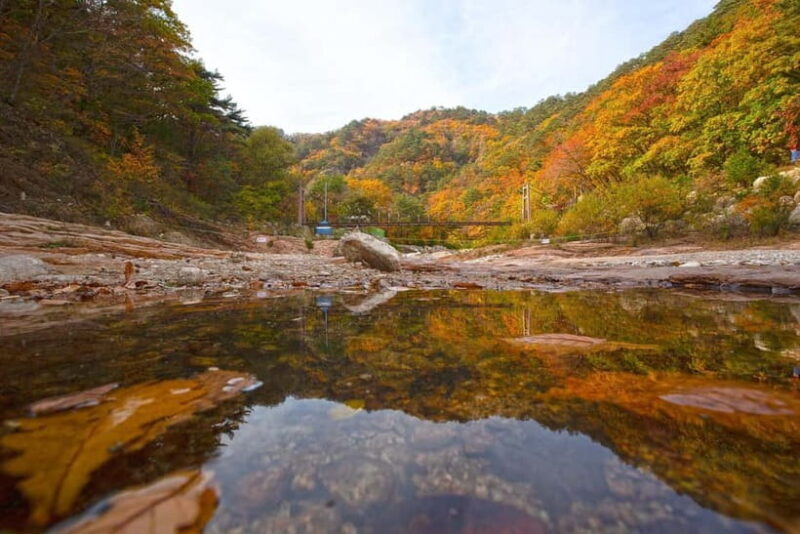 Seoul: Mt. Seorak & Autumn Flower Festival - Additional Considerations