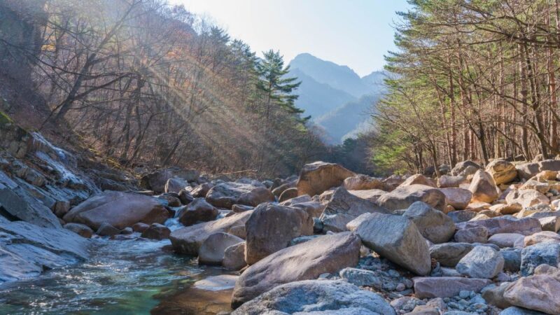 Seoul: Mt Seorak Hike with Naksansa Temple or Nami Island - Discovering Mount Seorak: The Heart of the Tour