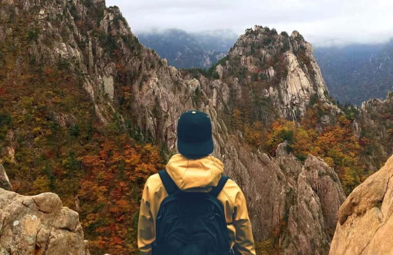 Seoul: Mt. Seorak & Nami Island & Eobi Ice Valley Day Tour - A Scenic Itinerary of Nature and Serenity