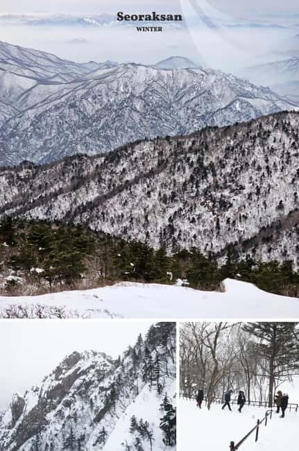 Seoul: Mt. Seorak & Nami Island & Eobi Ice Valley Day Tour - Nami Island: Serenity and Artistic Charm