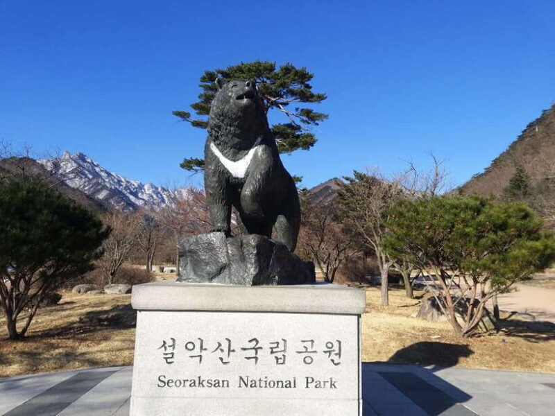 Seoul: Mt.Seorak, Nami Island & Korean Garden, No Shopping - Key Points