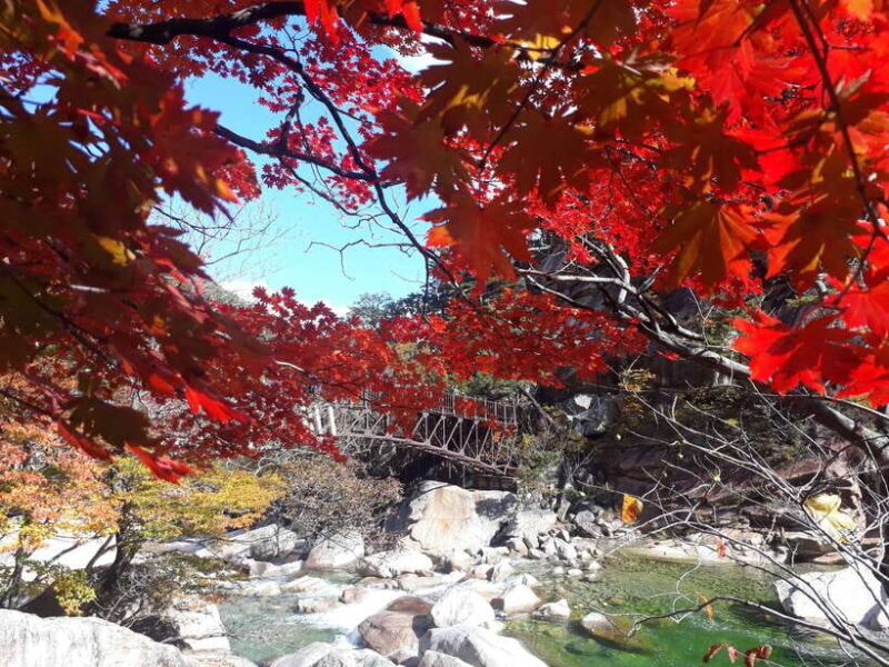 Seoul: Mt.Seorak, Nami Island & Korean Garden, No Shopping - The Practical Side: Transportation, Duration, and Accessibility