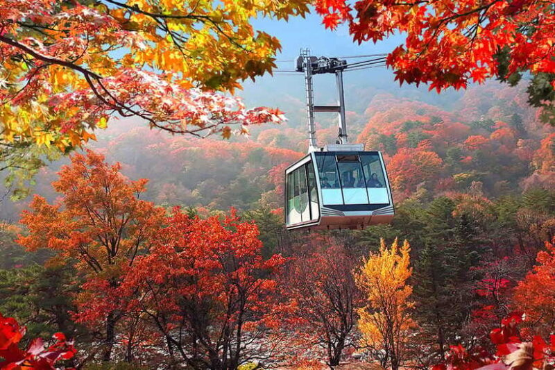 Seoul: Mt.Seorak(+CableCar Option)+Sokcho Fish Market&Beach - Sokcho Fish Market & Sokcho Beach