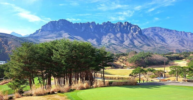 Seoul: Mt.Seorak(+CableCar Option)+Sokcho Fish Market&Beach - Analyzing the Value