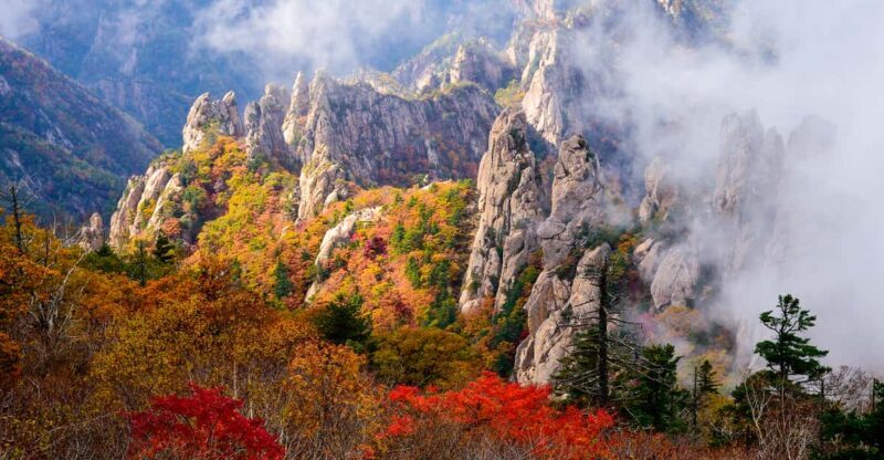 Seoul: Mt. Seoraksan National Park Autumn Foliage Day Tour - Seoul: Mt. Seoraksan National Park Autumn Foliage Day Tour – A Complete Review