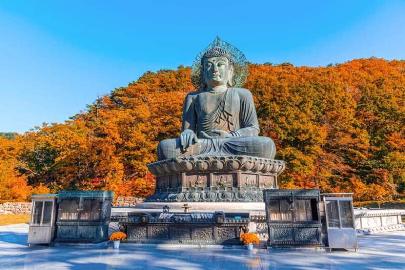 Seoul: Mt. Seoraksan National Park Autumn Foliage Day Tour - An Honest Breakdown of the Itinerary