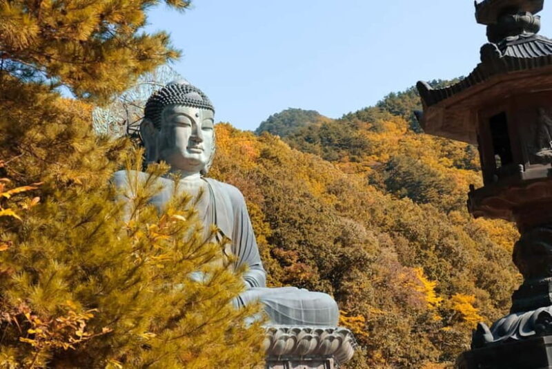 Seoul: Mt. Seoraksan National Park Autumn Foliage Day Tour - A Balanced Look at the Experience