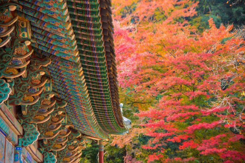 Seoul: Naejangsan National Park Autumn Foliage One Day Tour - The Itinerary: What Makes or Breaks the Day