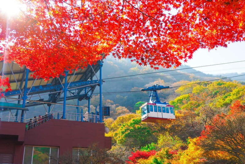 Seoul: Naejangsan National Park Autumn Foliage One Day Tour - Transportation, Group Size, and Overall Value