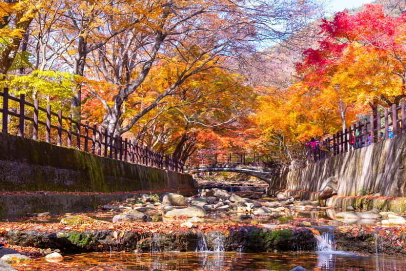 Seoul: Naejangsan National Park Autumn Foliage One Day Tour - FAQ