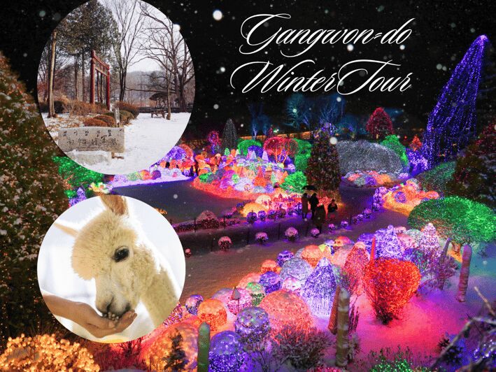 Seoul: Nami and K-Garden with Optional Alpaca Winter Tour - A Day in Korea’s Countryside: What This Tour Delivers
